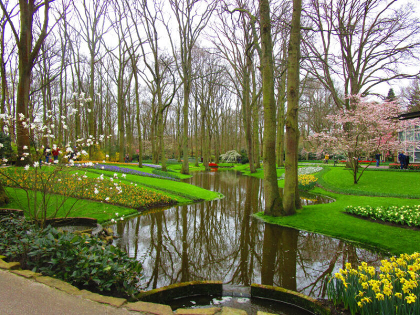 5-day Tulip Tour boat bike Magnifique 2 | Dutch Barge Cruises